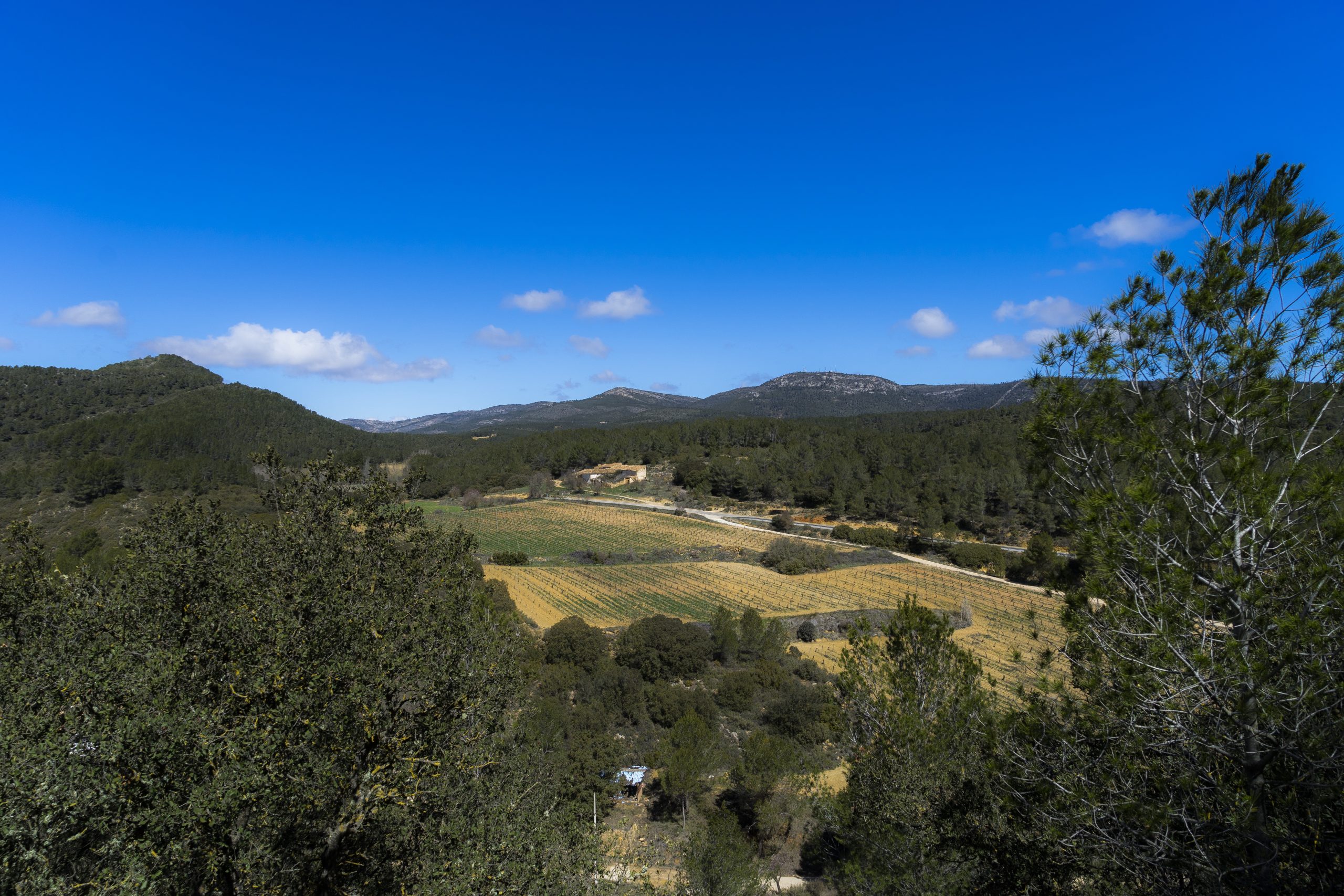 Utiel: el pulmón verde de Valencia - ESMEDITERRANEO