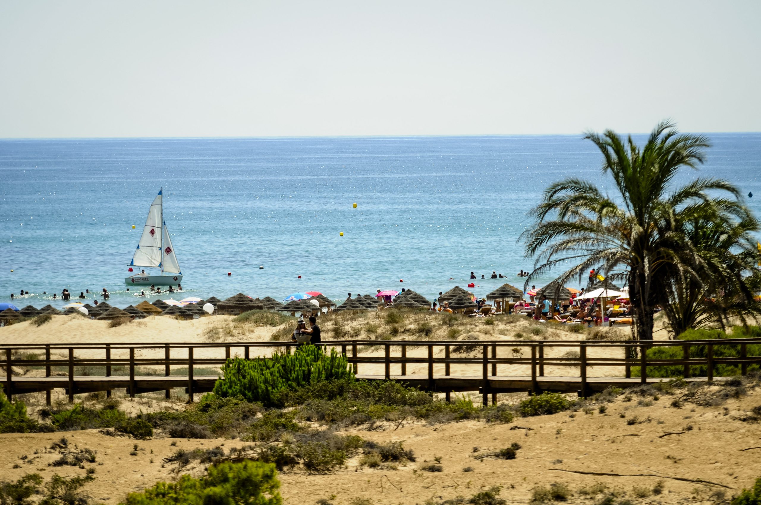 Elche: un oasis en el Mediterráneo - ESMEDITERRANEO